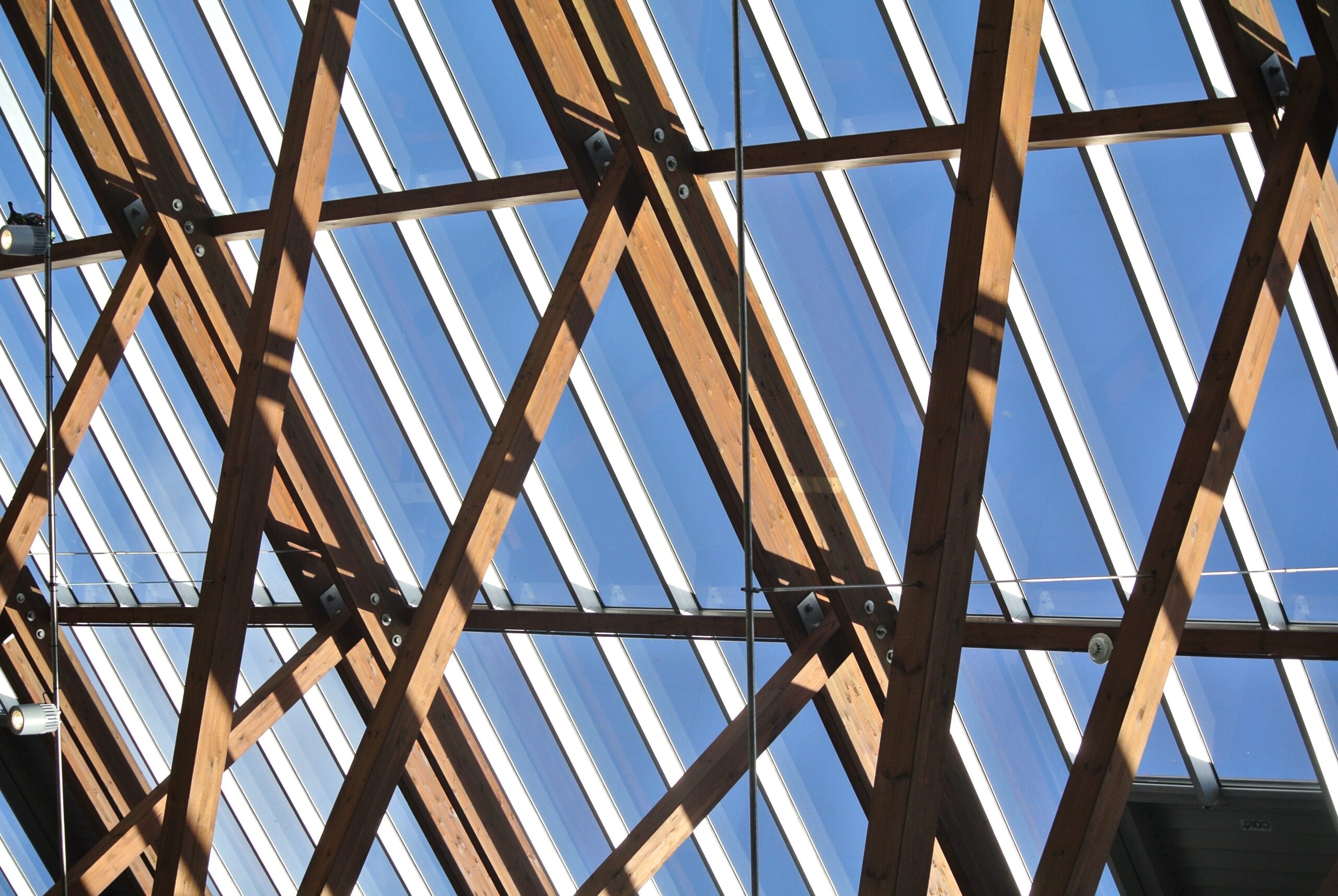 What's Nesting in Your Rafters?